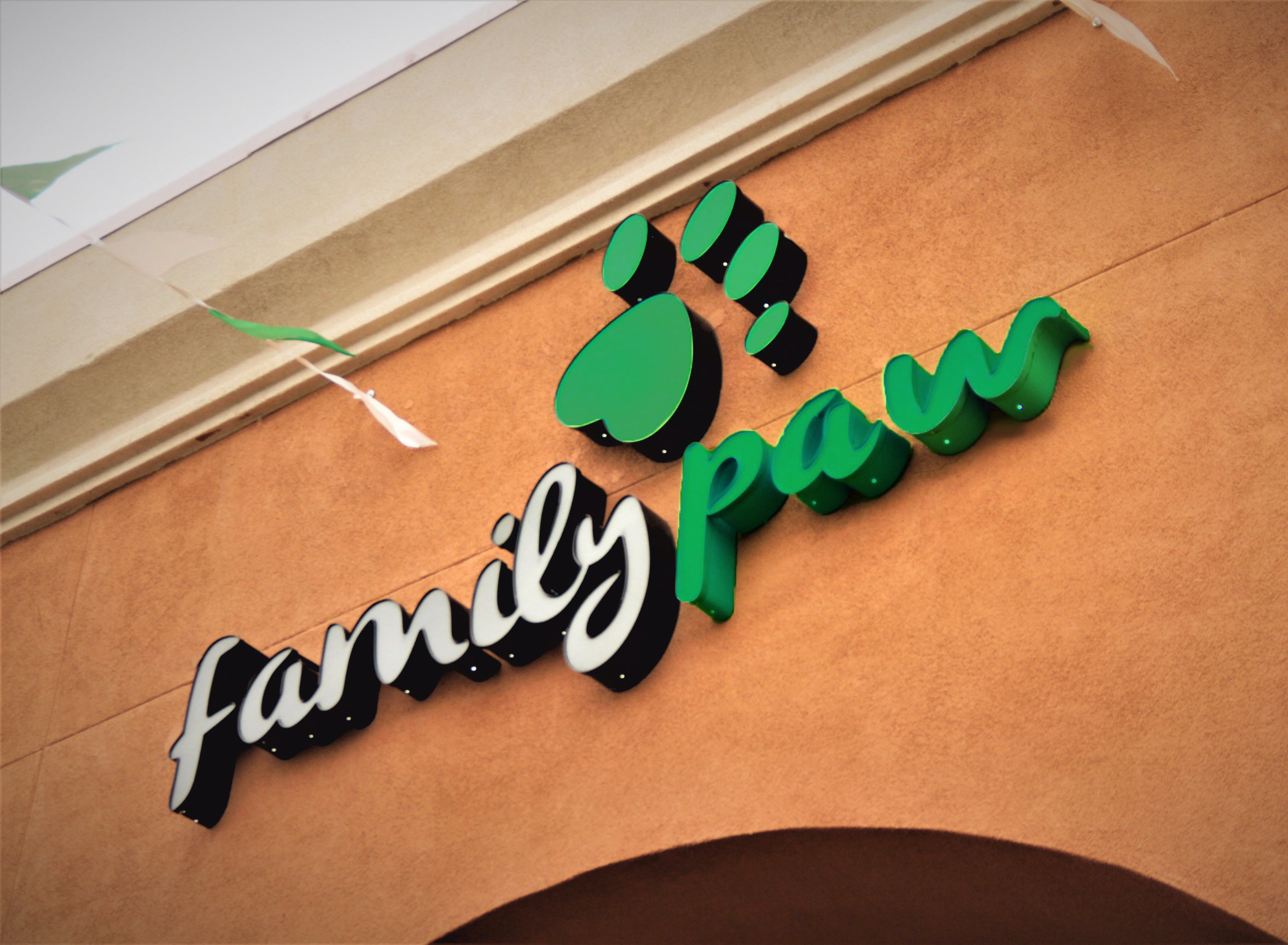 Family Paw Logo and Branding – Paper & Home